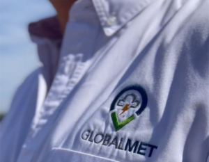 ¿Qué es GlobalMet? - GlobalMet
